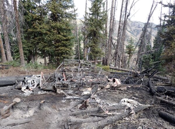 N23BD Crash on Sept 1, 2024: American Champion 8GCBC Accident